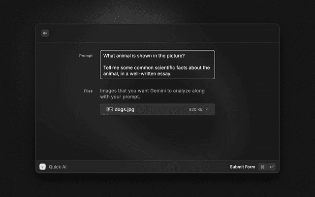 Raycast Store: Google Gemini